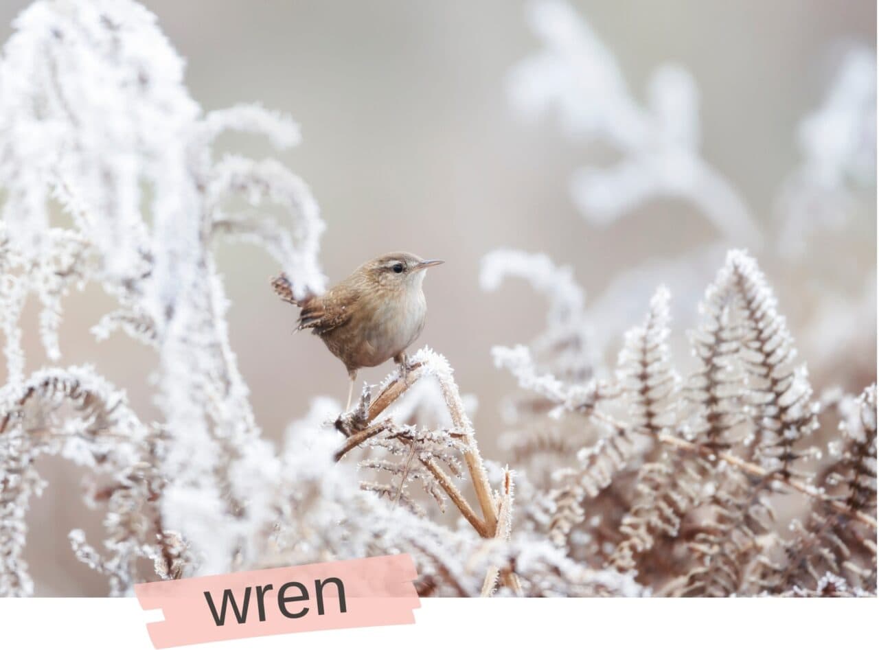 250+ Winter Names for Girls: Top Picks for 2025