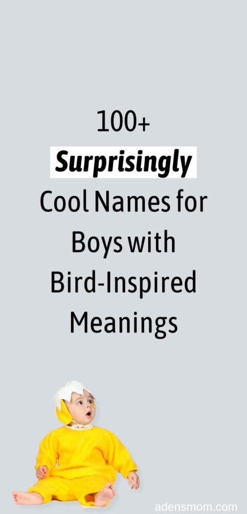 109 Incredible Bird Names for Boys [New 2025]