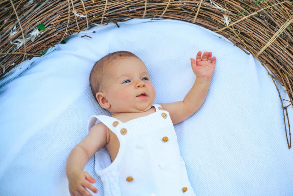 109 Incredible Bird Names for Boys [New 2025]