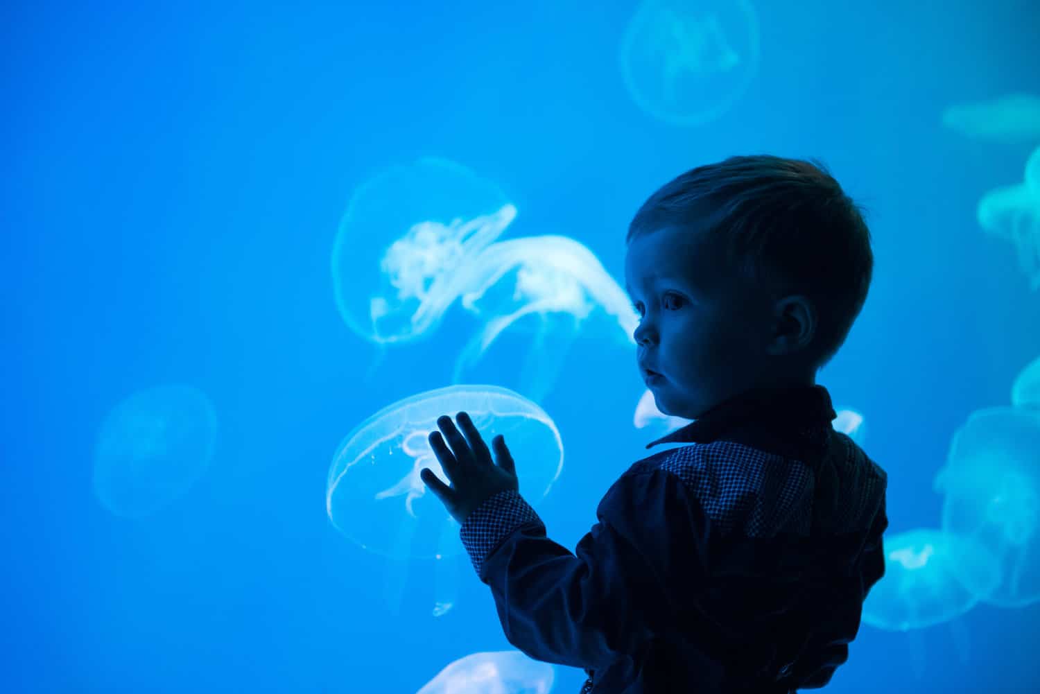 230 Actually Cool Water Names For Babies New 2024 230 Actually Cool Water Names For Babies New 2024